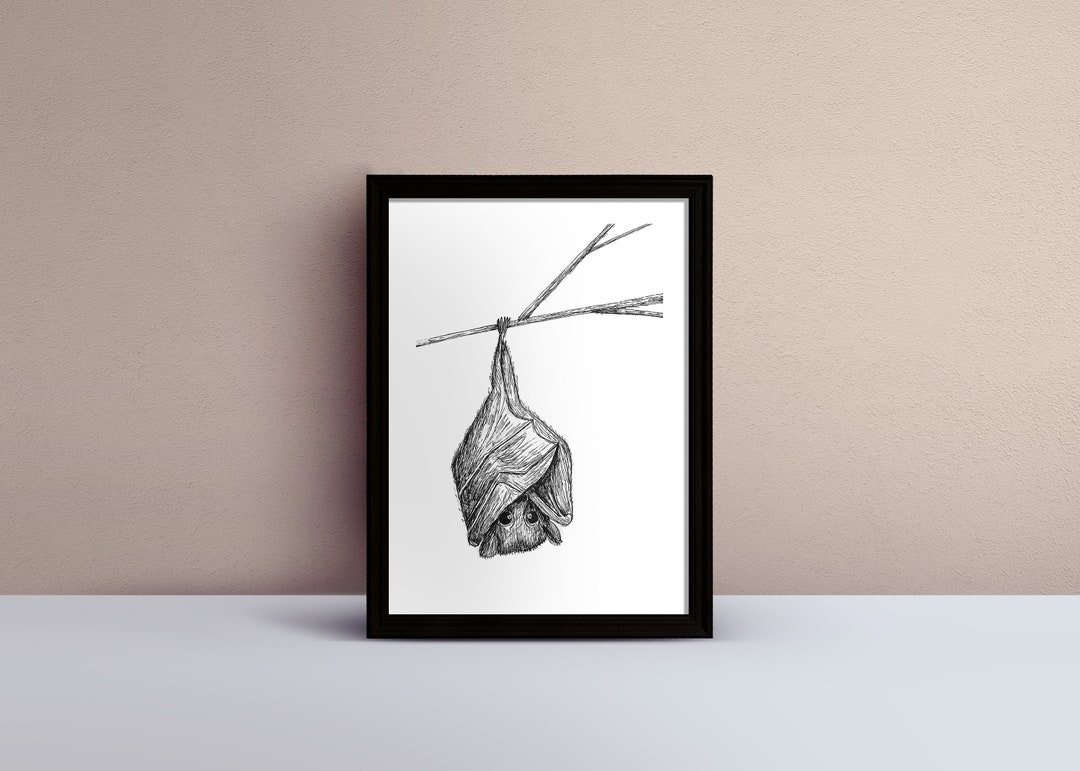 Bat Ink Illustration Print: Hand-drawn Animal Art (5x7) - Etsy