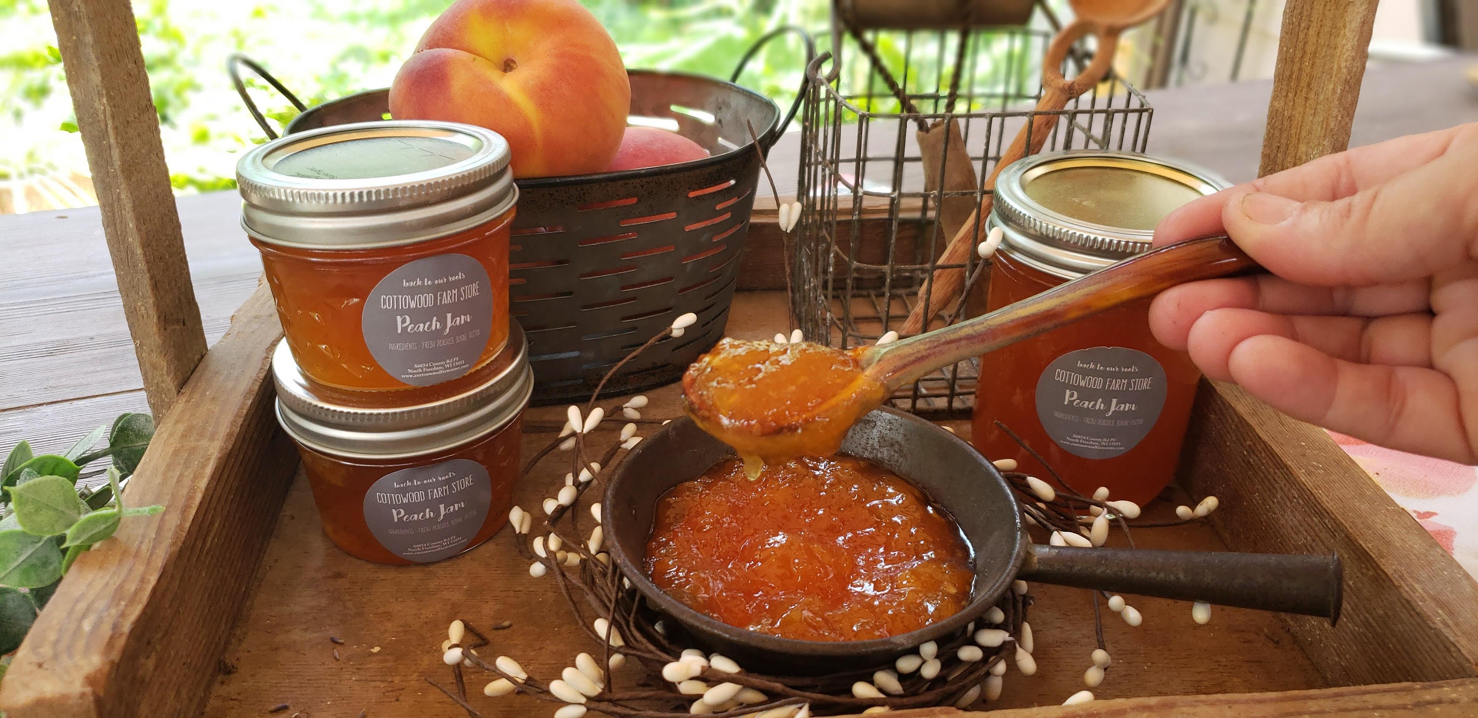Wild Plum Jelly, Small Batch Wild Plum Jam, Artisan Gourmet Jam-jelly ...