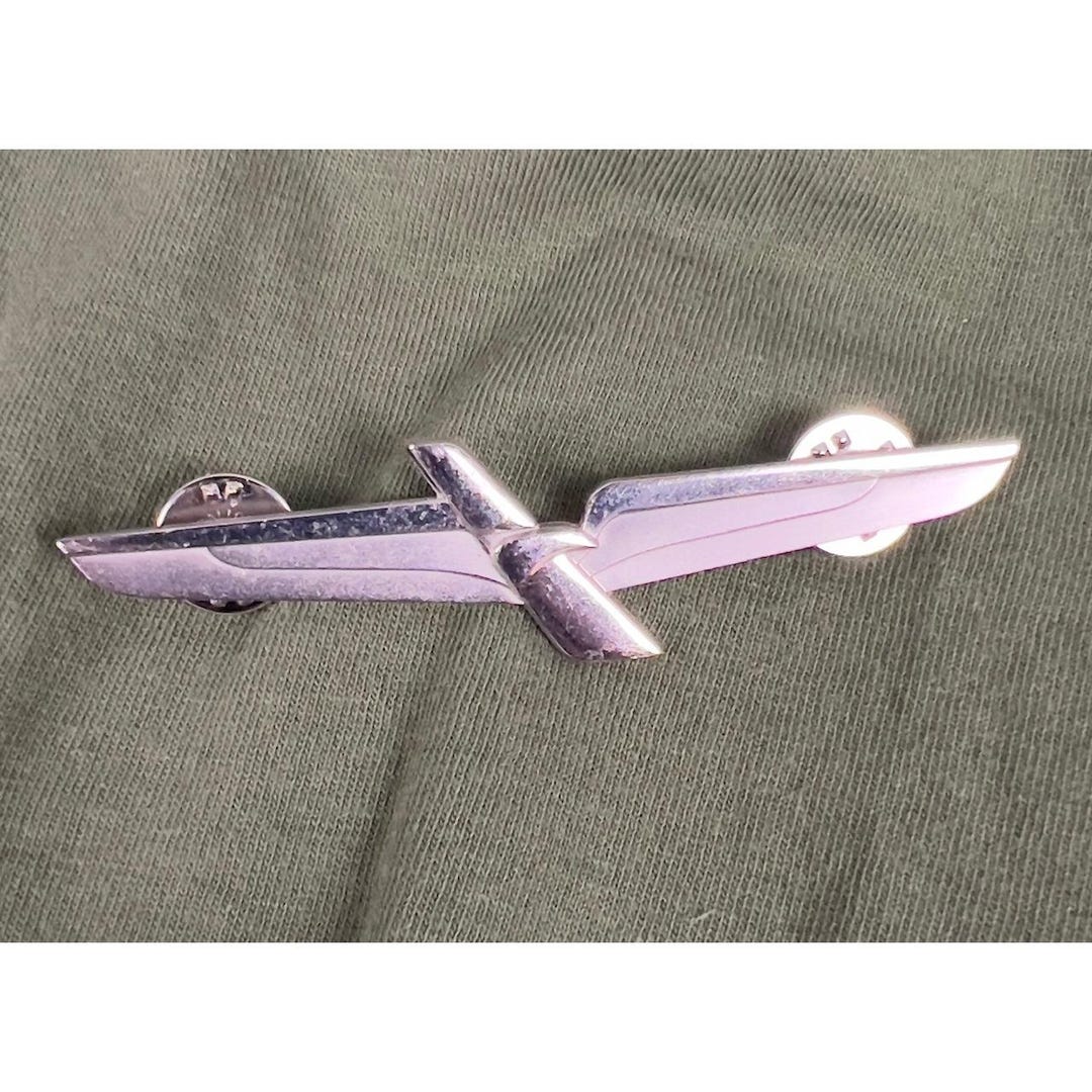 American Airlines AA Silver Flight Attendant Wings Vintage - Etsy
