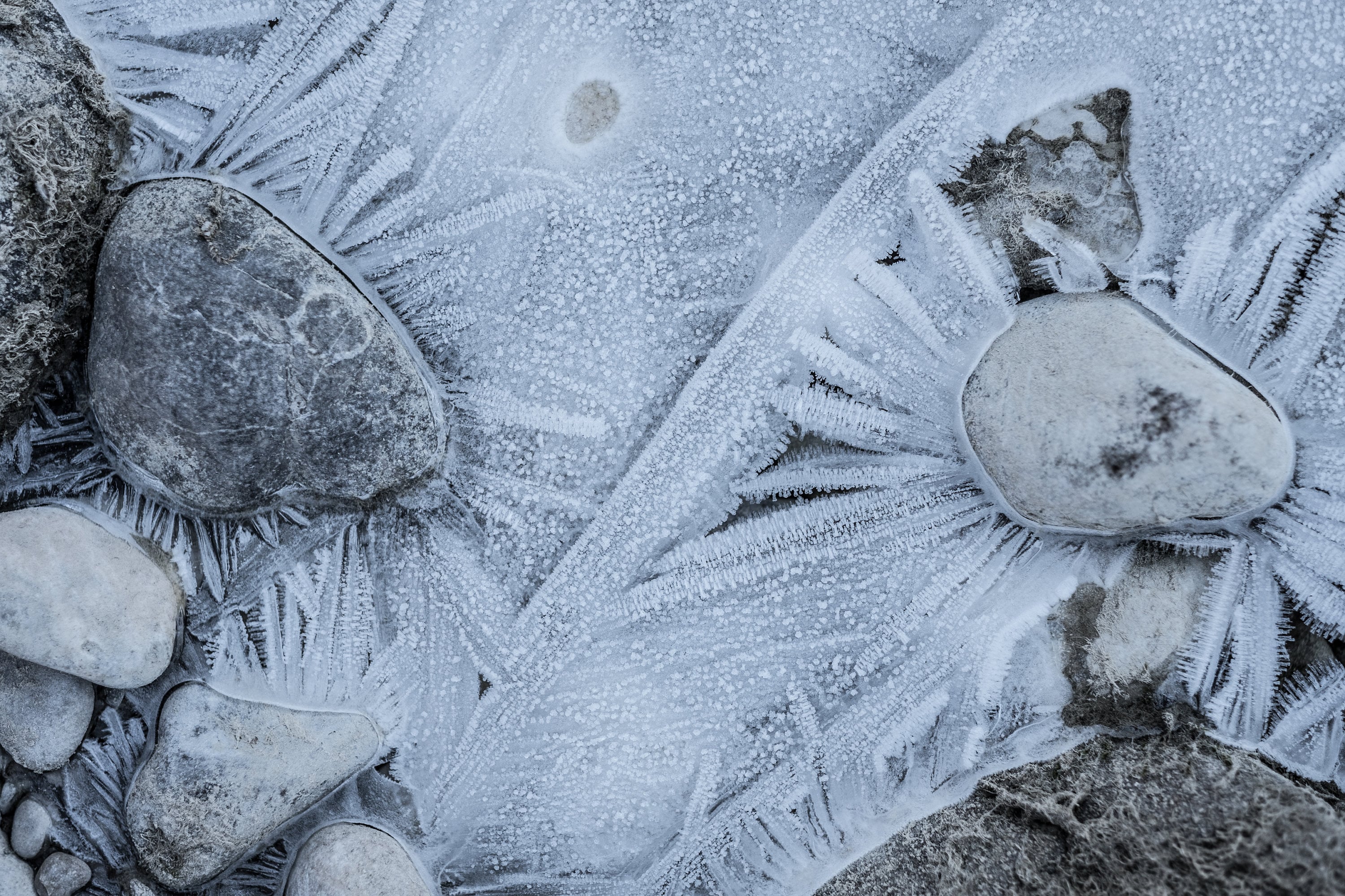 Pictures to Print by Yourself, Instant Download, 20x30cm - Etsy