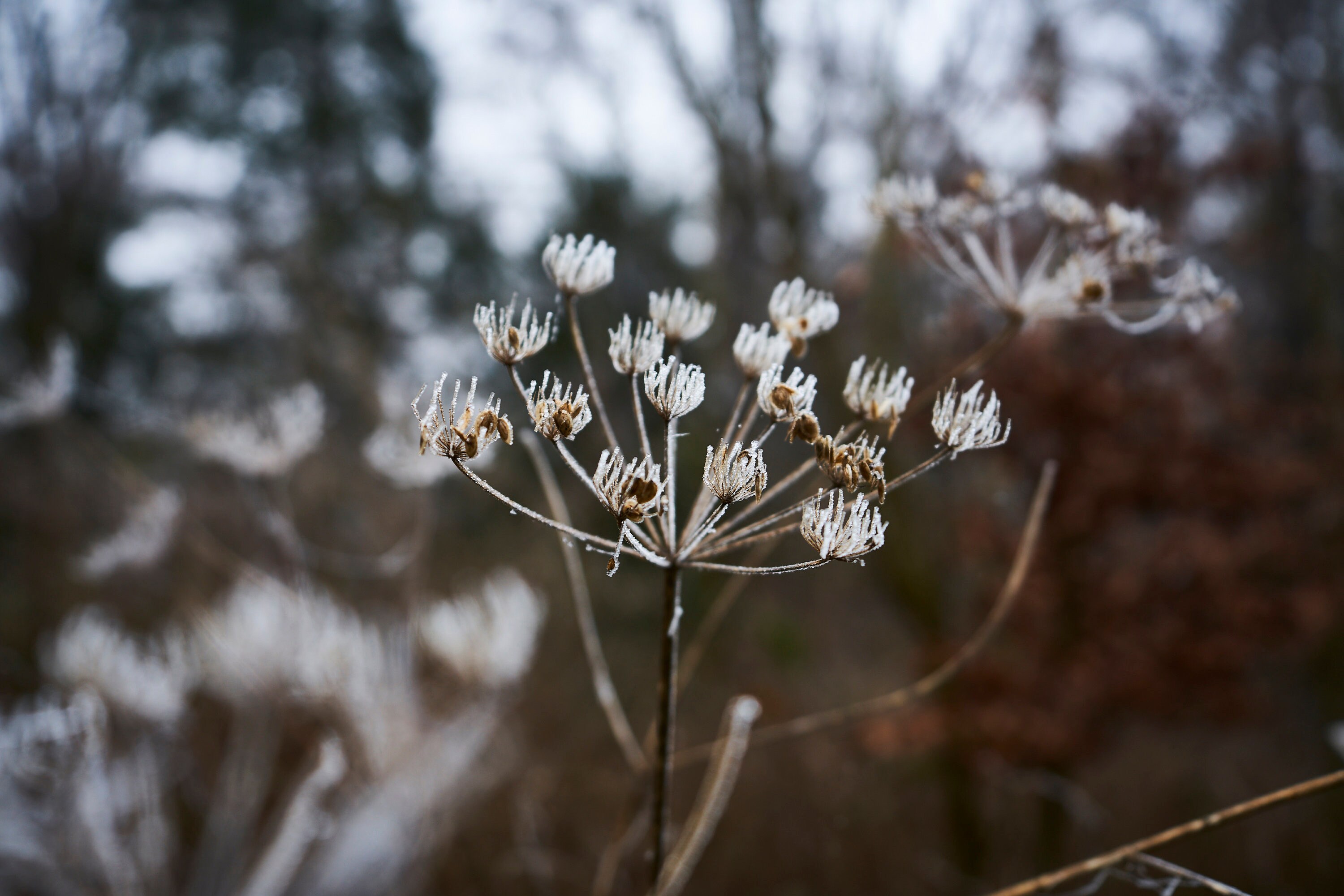 Pictures to Print by Yourself, Instant Download, 20x30cm - Etsy