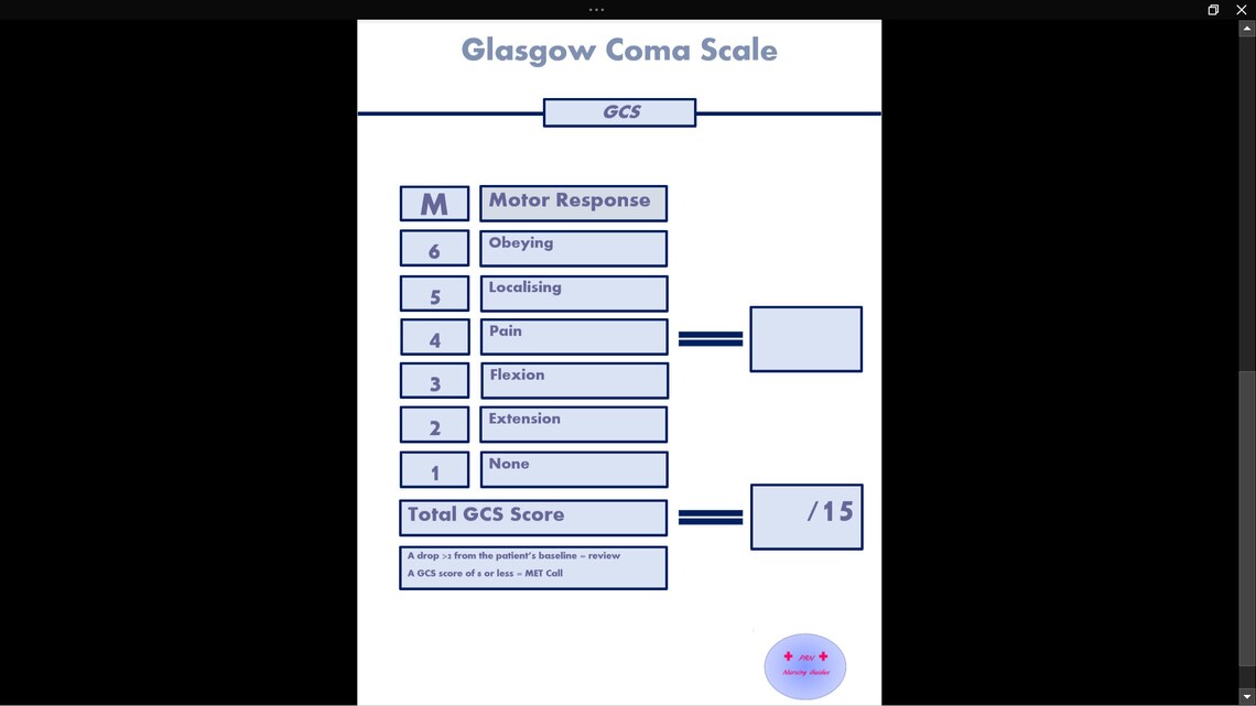 Glasgow Coma Scale GCS Template - Etsy