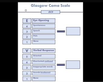 Glasgow Coma Scale Chart GCS - Etsy