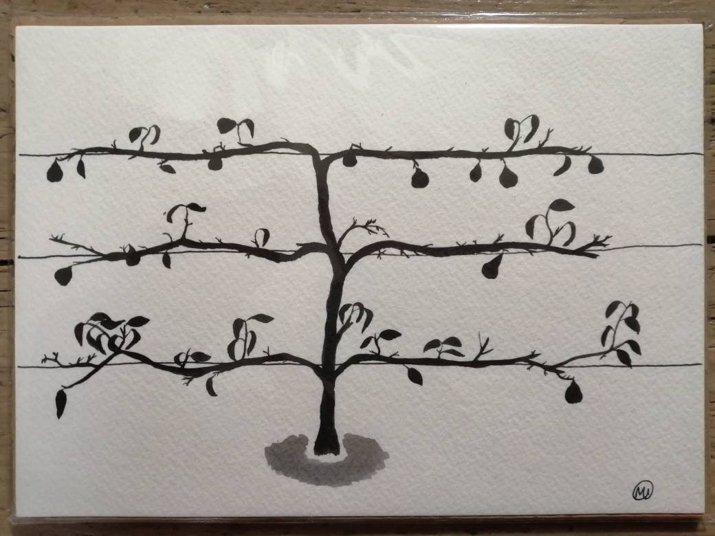 Original Espaliered Pear Tree Painting (A5) - Etsy