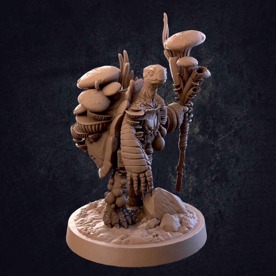 Doc Rooney - Tortle Fungus Druid - the Dragon Trappers Lodge - Fantasy ...