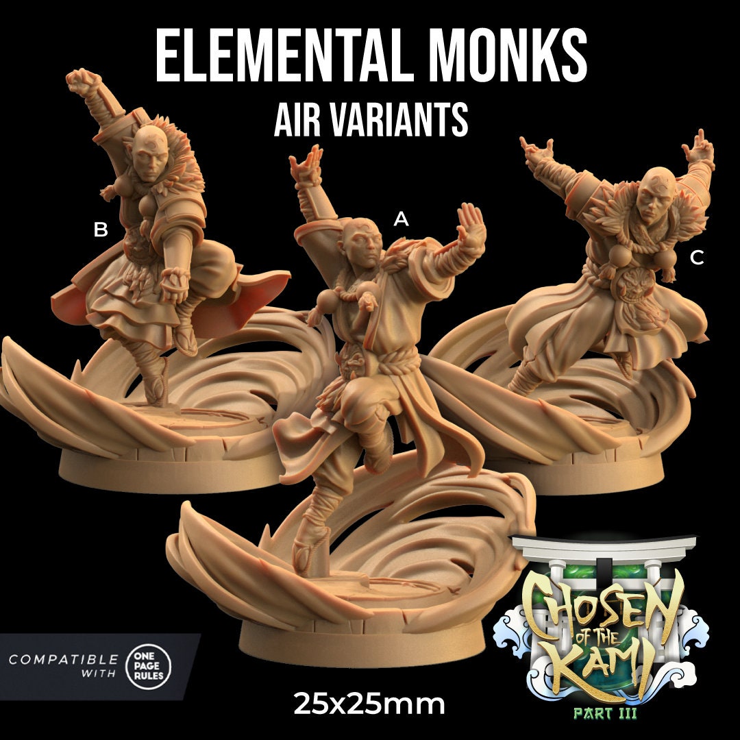 Elemental Monks the Dragon Trappers Lodge Fantasy D&D Pathfinder ...