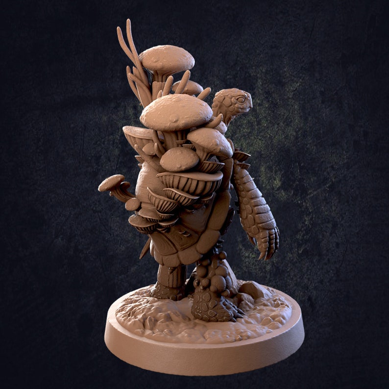 Doc Rooney - Tortle Fungus Druid - the Dragon Trappers Lodge - Fantasy ...