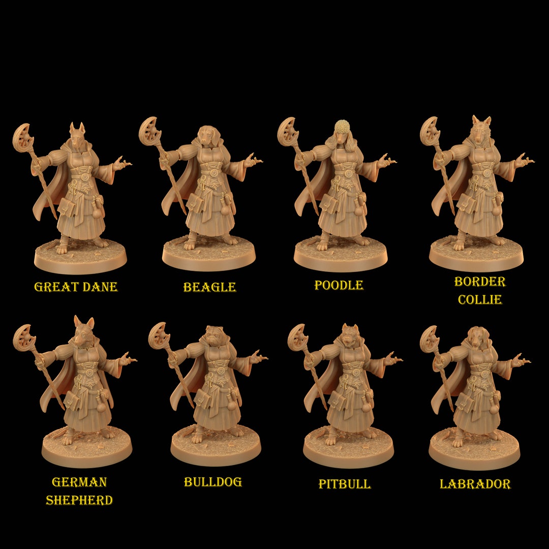 Dog Mages Dragon Trapper Miniature the Dragon Trappers Lodge Fantasy D ...