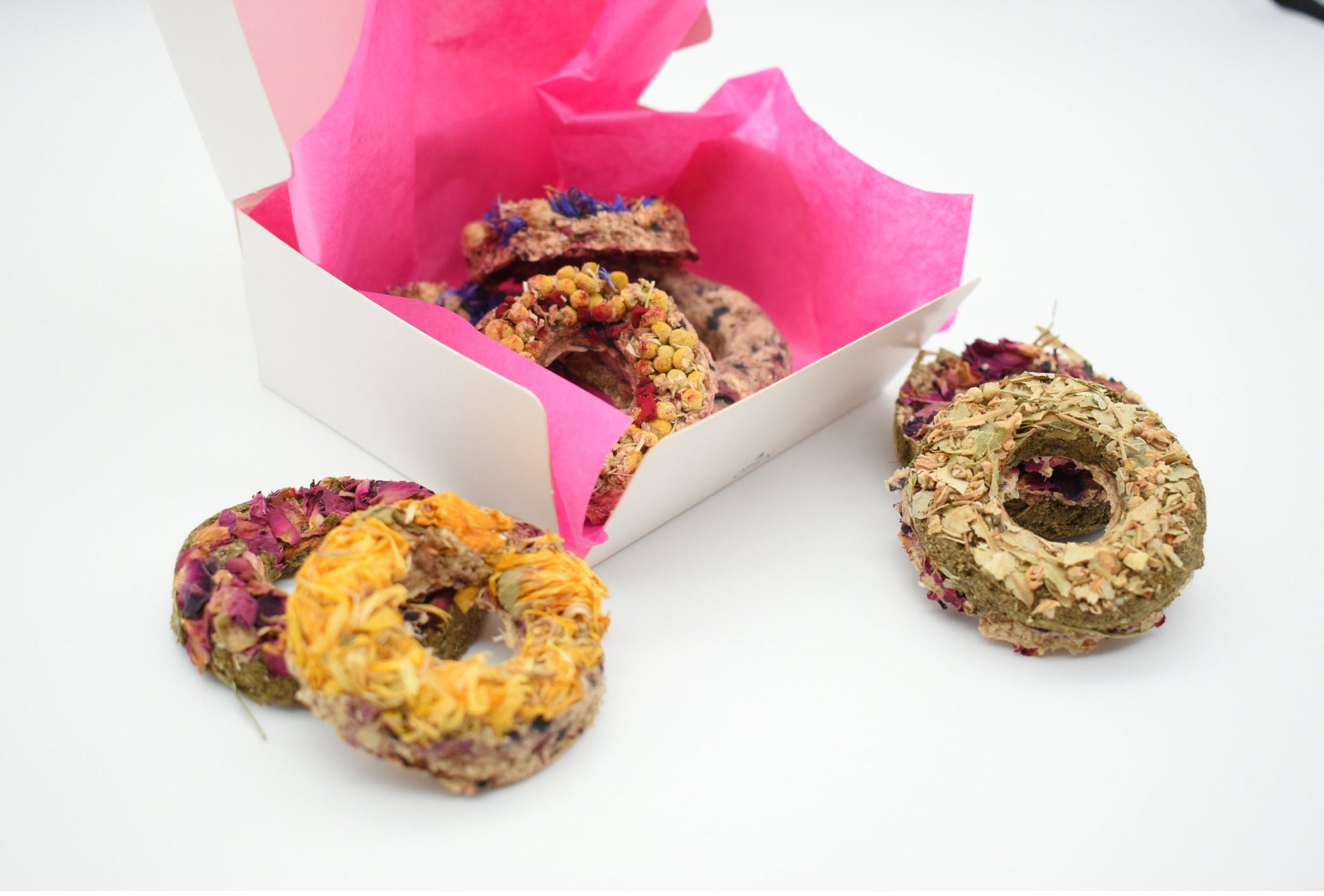 Bunkin Donuts Donuts for Rabbits and Guinea Pigs | Etsy