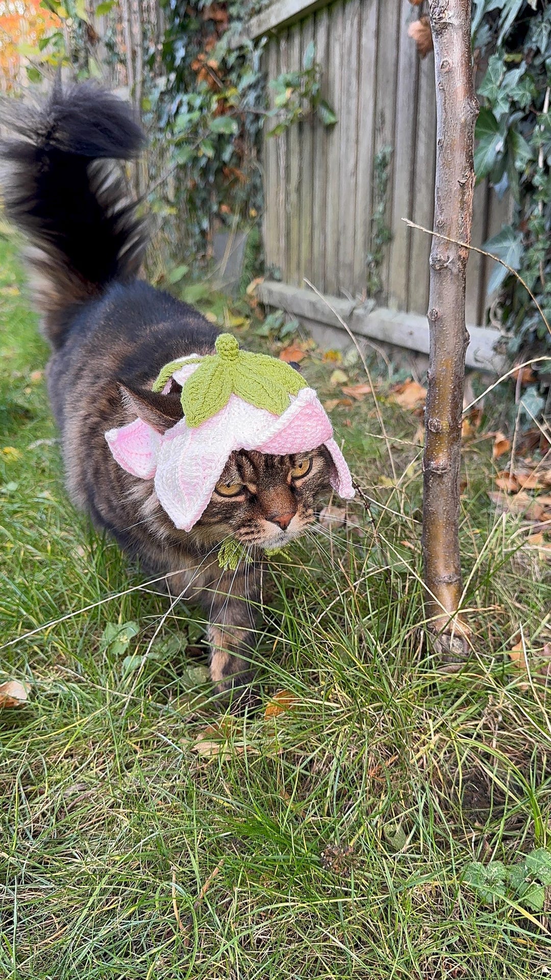 Flower Cat Hat - Etsy