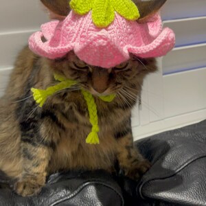 Flower Cat Hat - Etsy