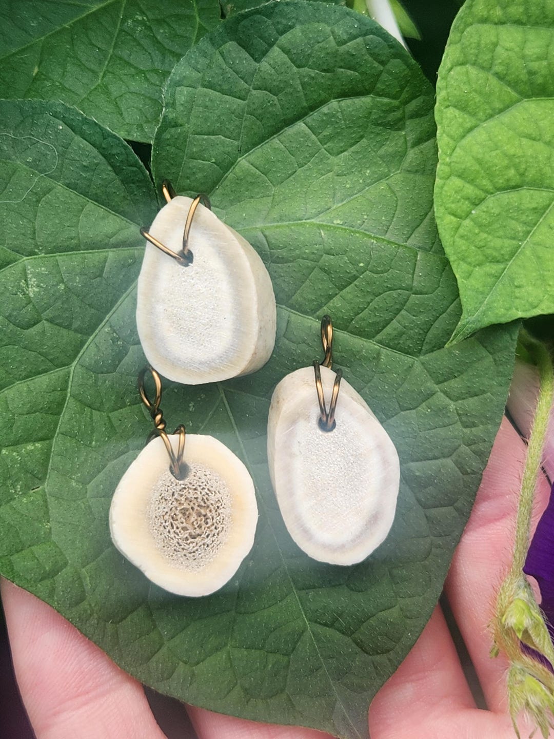 Whitetail Deer Cross Section Antler Pendants - Etsy