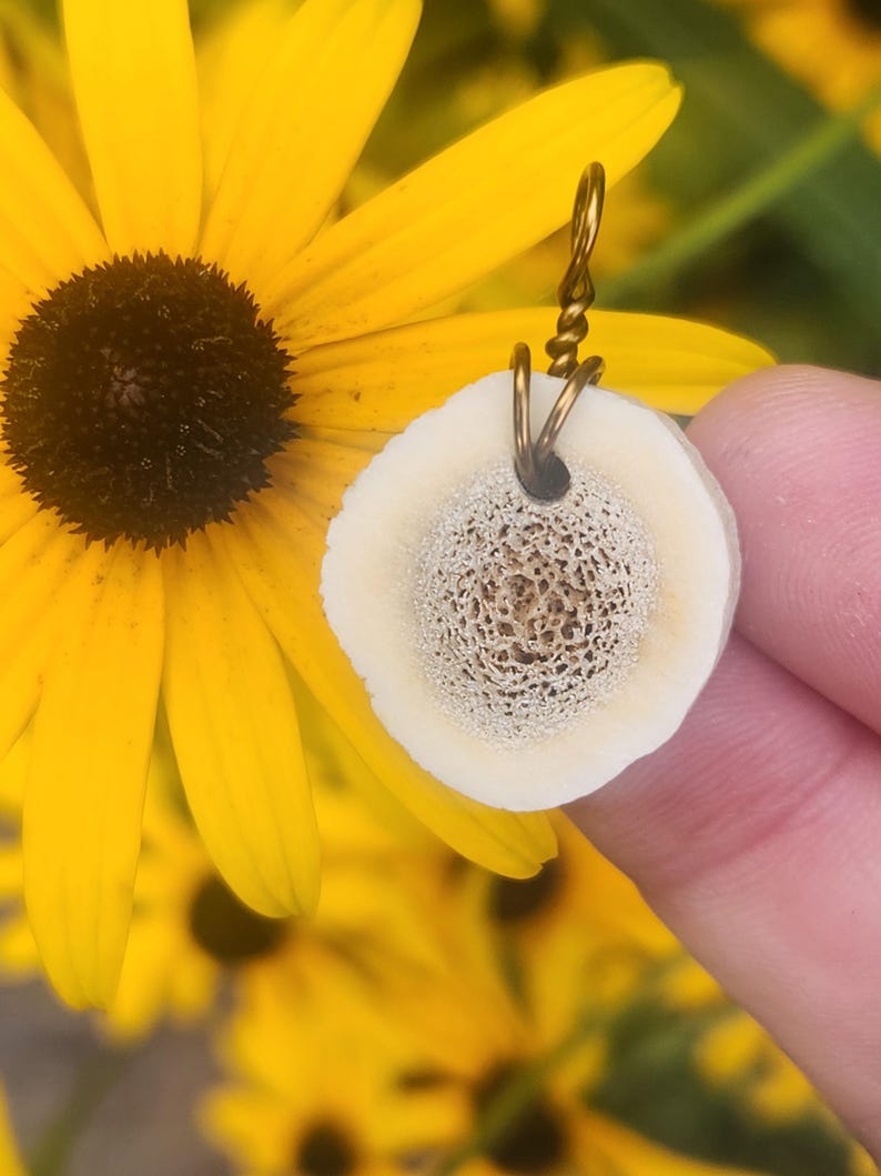 Whitetail Deer Cross Section Antler Pendants - Etsy