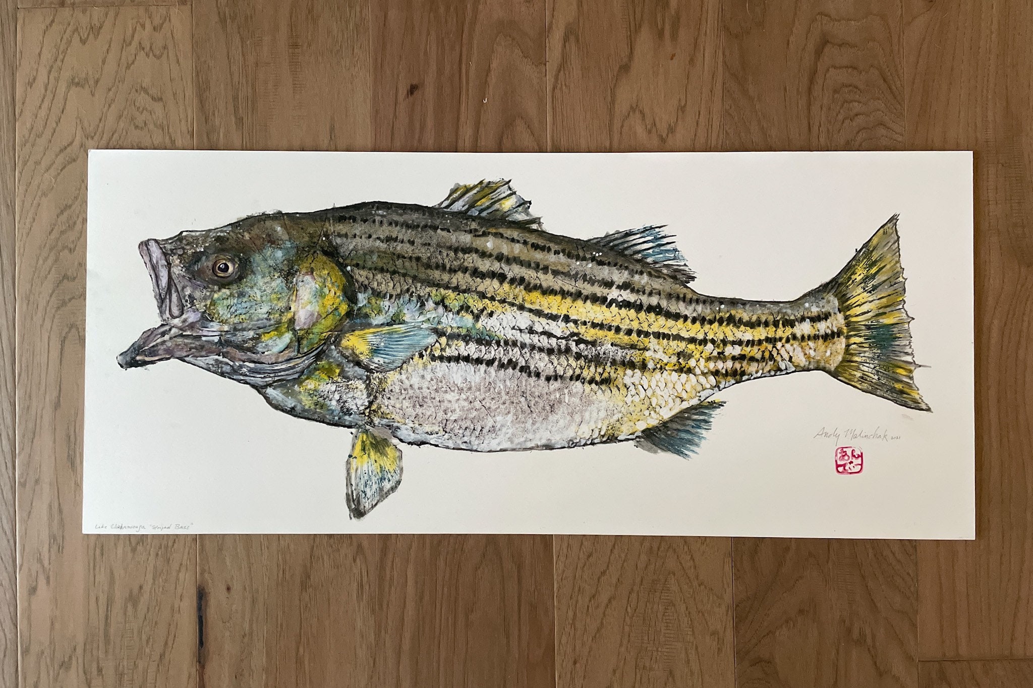 Striped Bass Gyotaku Watercolor Fish Print - Etsy