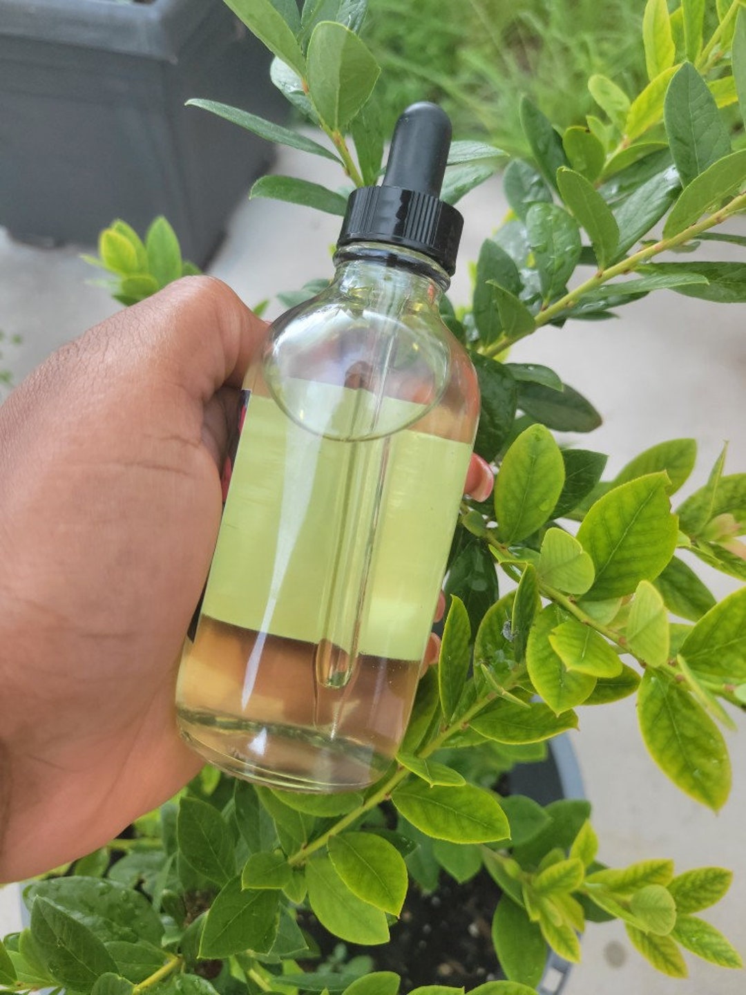 Orange Nectar Body Oil - Etsy