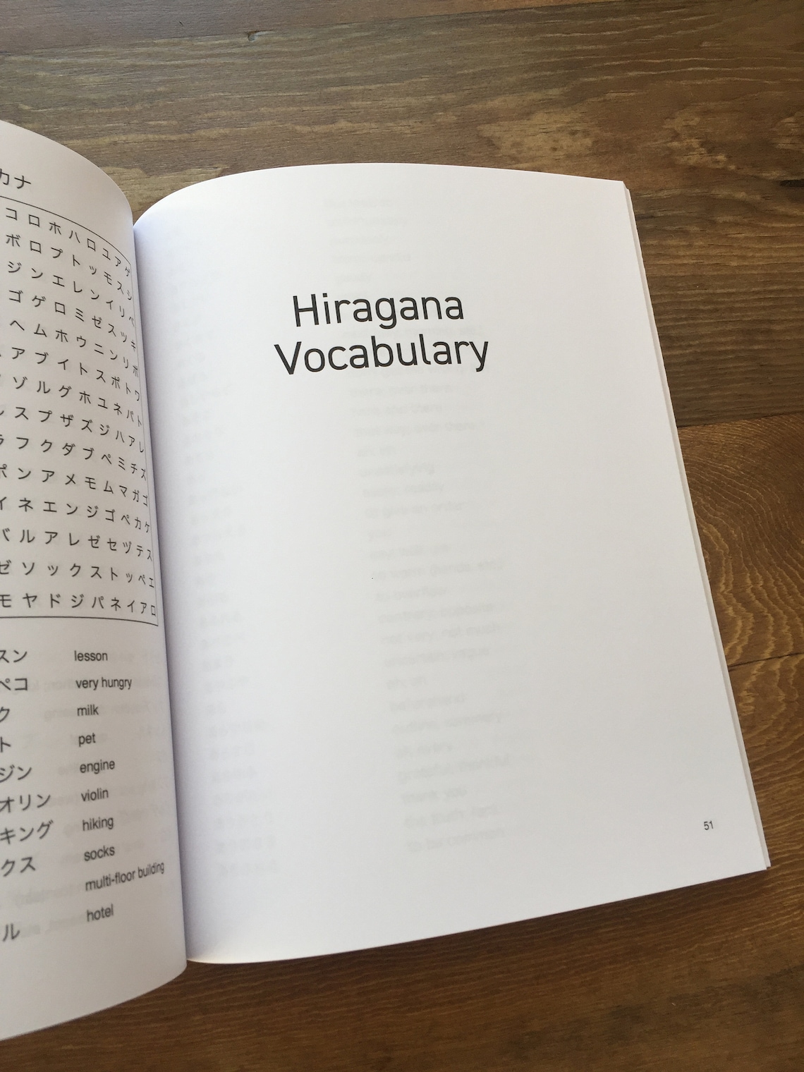 Japanese Kana Word Search: Learn 900 Hiragana and Katakana | Etsy