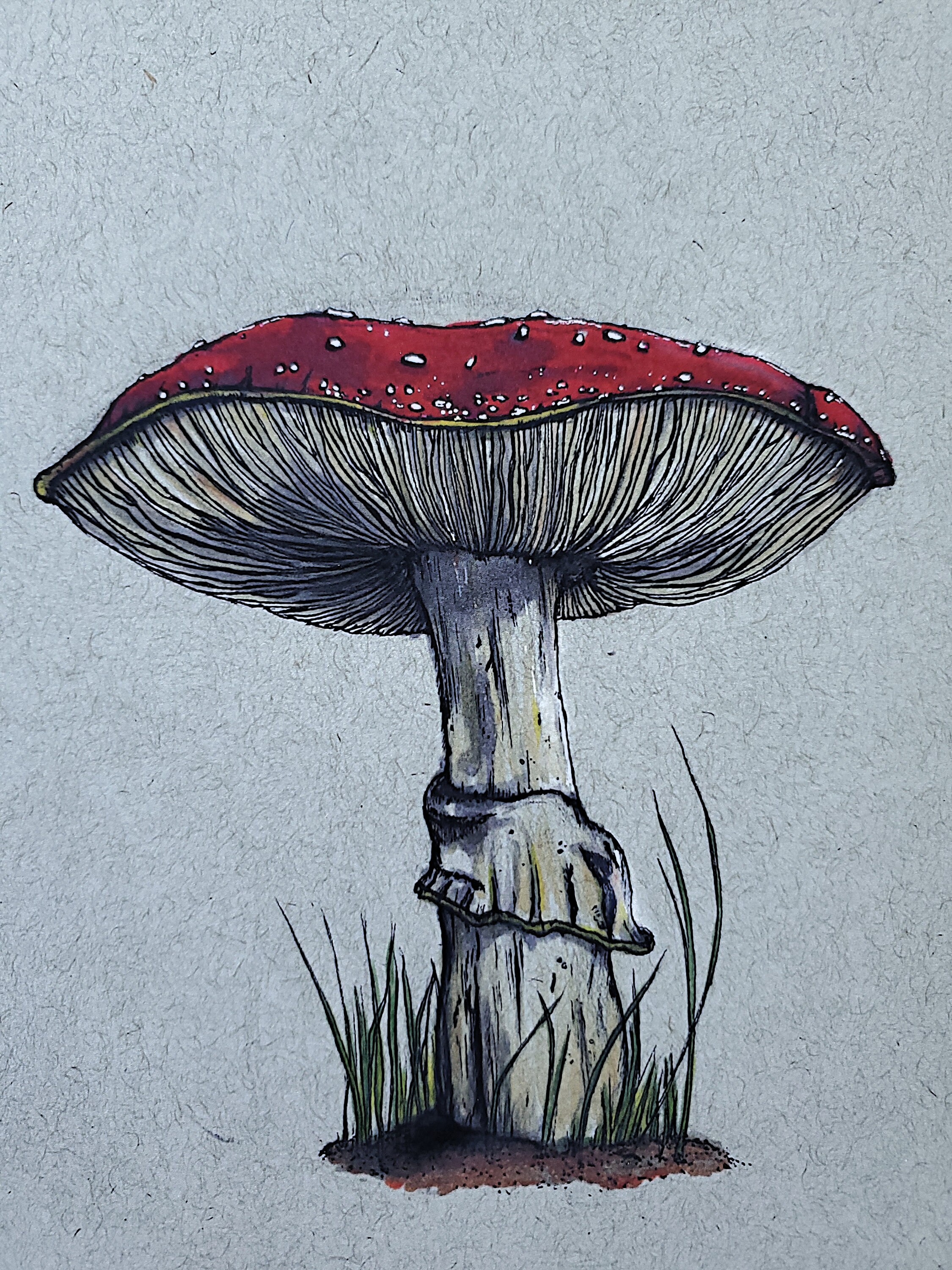 The Classic Mushroom Amanita Muscaria Art Print Red Etsy