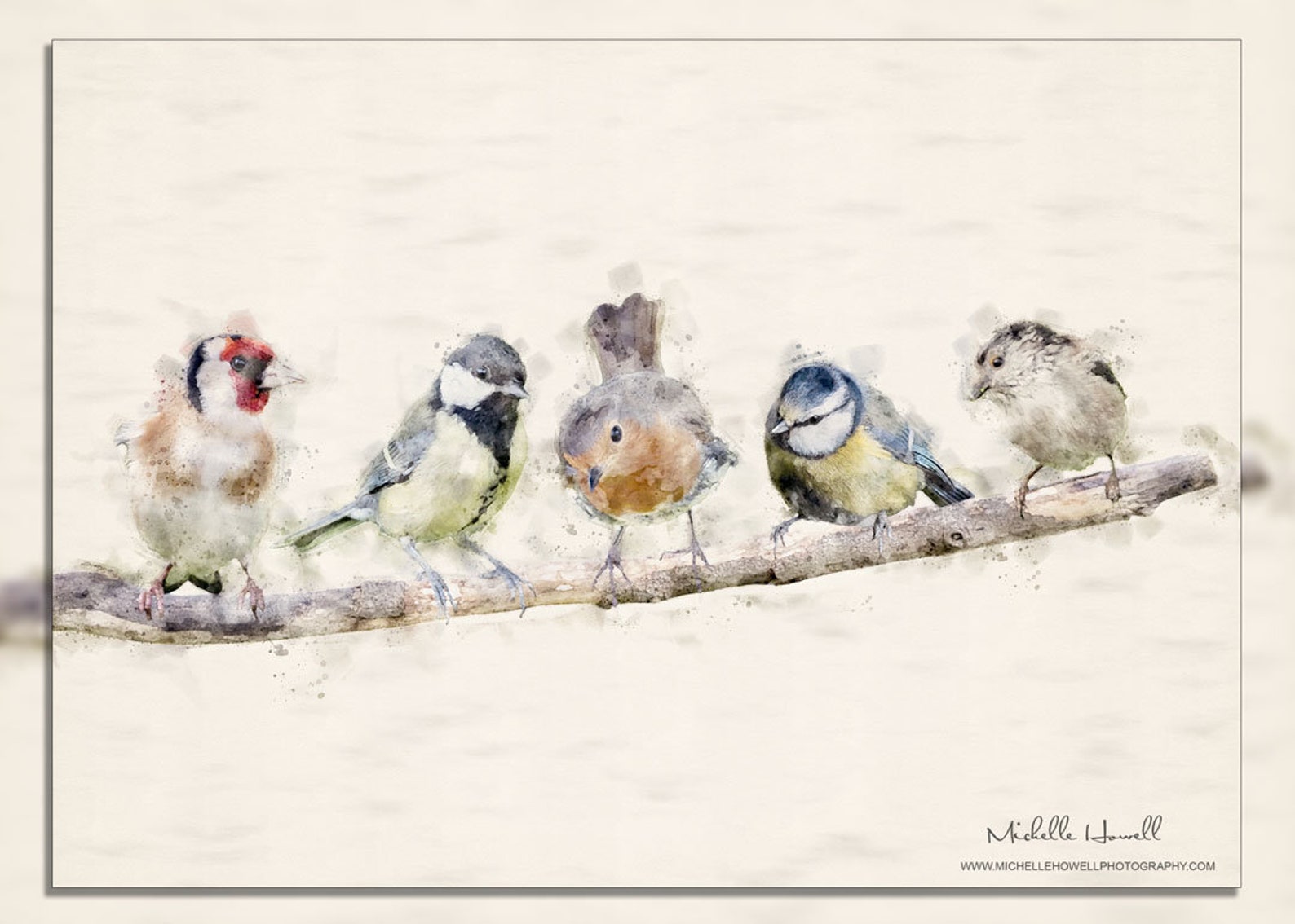 British Garden Birds Watercolour Print, Bird Wall Art - Etsy UK