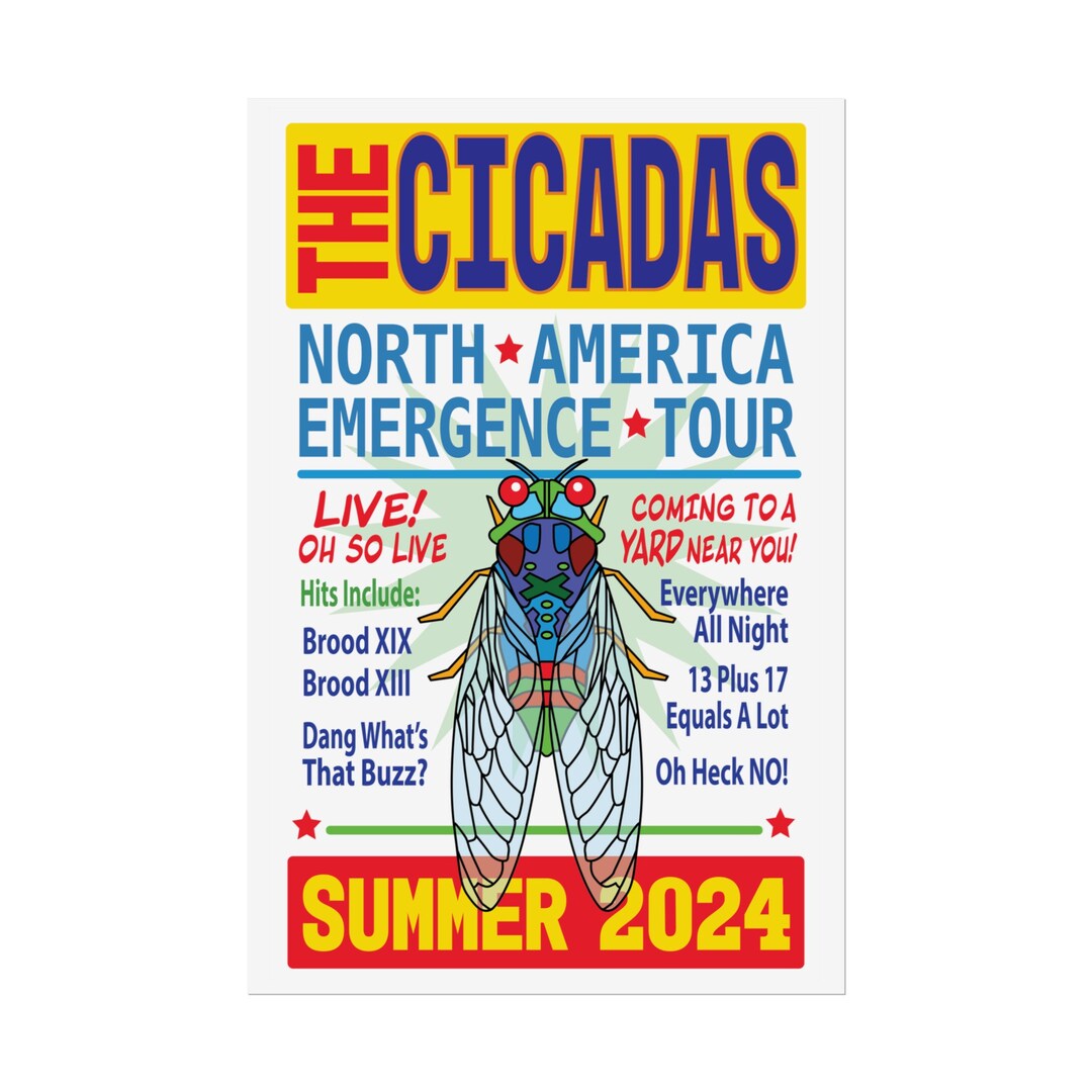 CICADAS in CONCERT Live Oh so Live Touring Summer 2024, Original Art ...