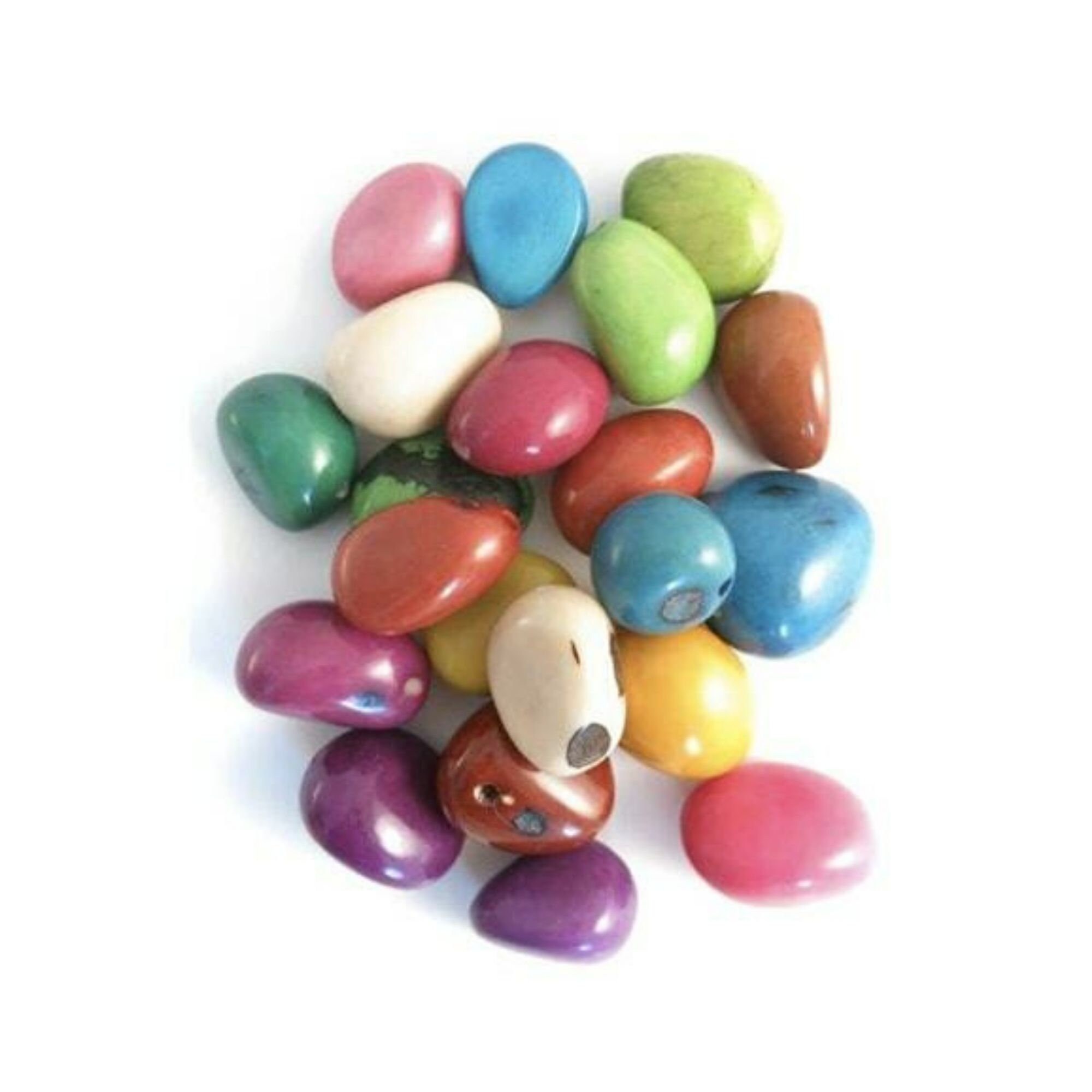 One Tagua Seed Whole Nut Art Craft Jewellery Eco Beads Natural - Etsy