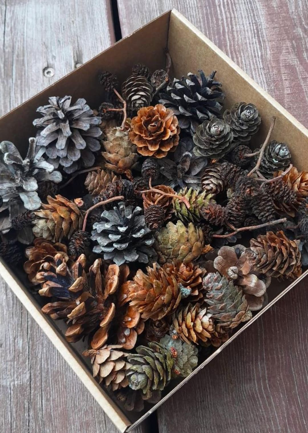 Natural Pine Cone Mix, Art Craft Supplies - Etsy