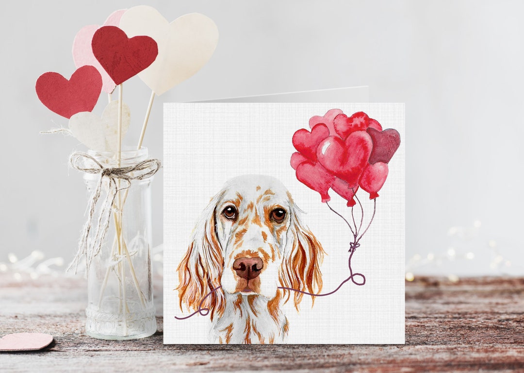 English Setter Anniversary Day Card / Orange Belton Anniversary Day ...