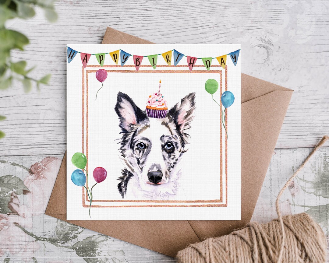 Blue Merle Border Collie Birthday Day Card/sheepdog With - Etsy