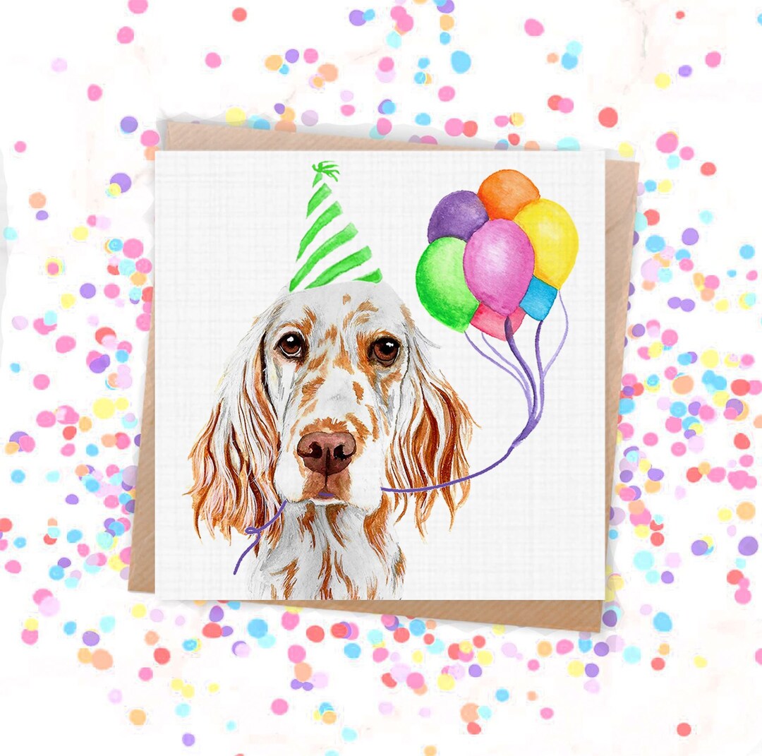English Setter Birthday Card / Orange Belton Rainbow Balloons / Canine ...