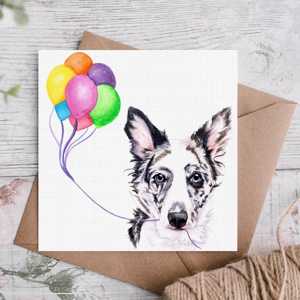 Blue Merle - Etsy