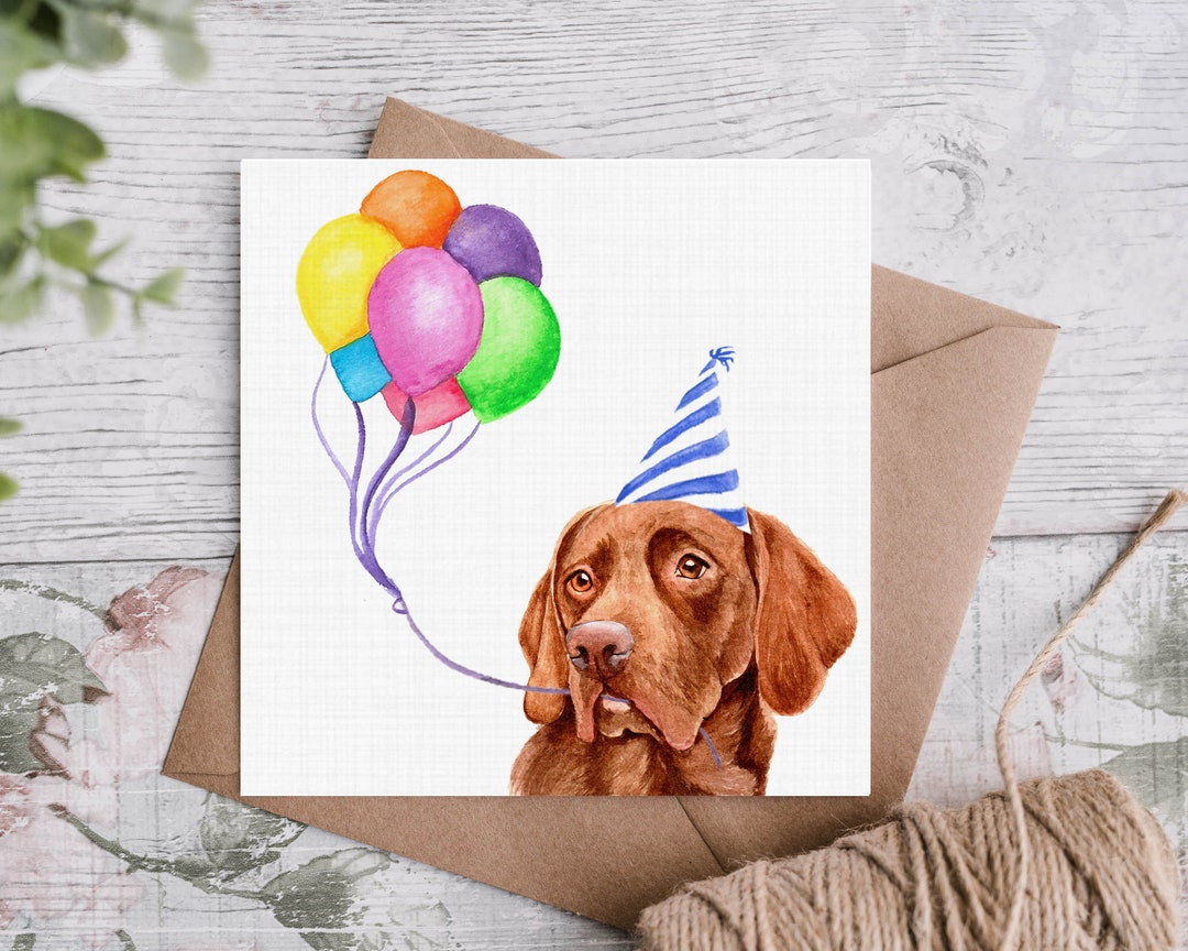 Chocolate Labrador Birthday Card/choc Lab Holding Rainbow Balloons ...