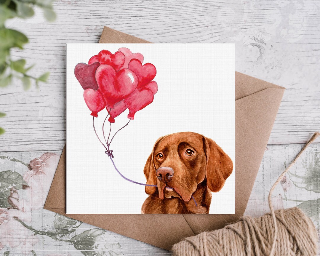 Chocolate Labrador Valentines Day Card /brown Lab Anniversay Card / I ...