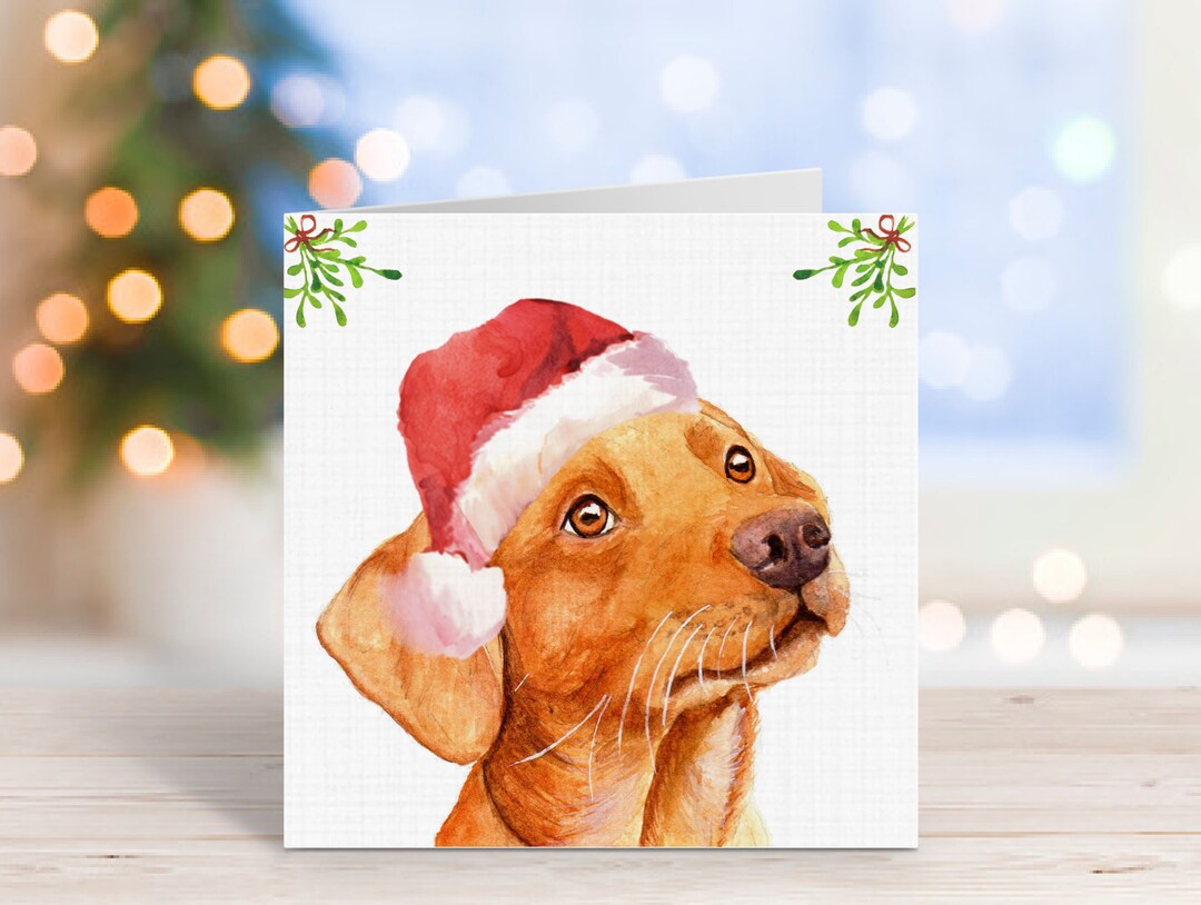 Red Fox Labrador Christmas Card/red Lab in Santa Hat/gun Dog - Etsy