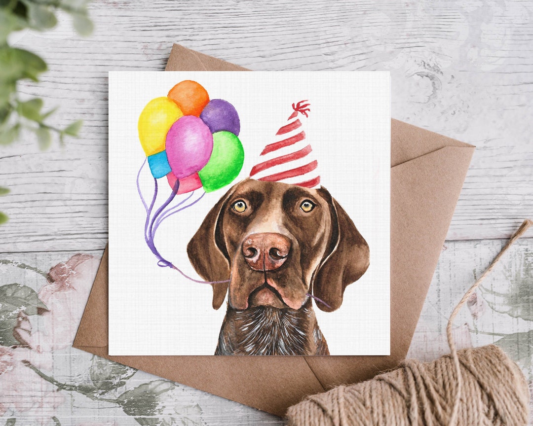 German Shorthaired Pointer Birthday Card/pointer Holding Rainbow ...