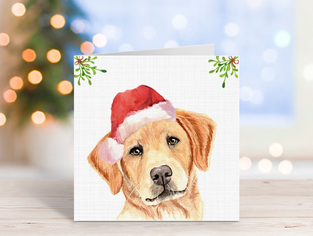 Yellow Labrador Christmas Card/gold Lab in Santa Hat/gun Dog - Etsy