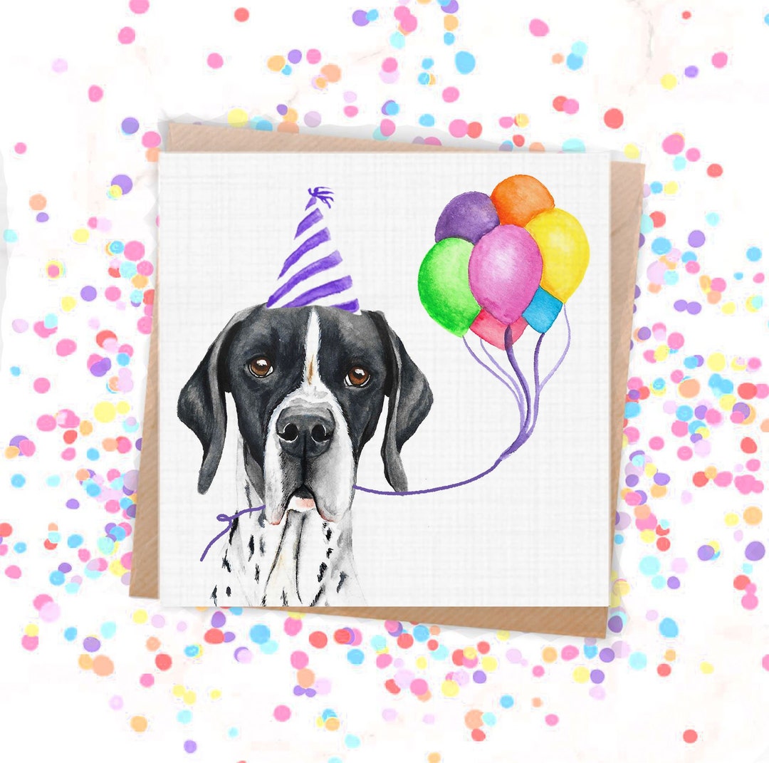 English Pointer Birthday Card/ Black and White Pointing Dog / Working ...