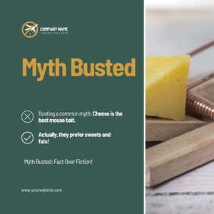 Pest Control Social Media Posts: Canva Templates (30 Posts) - Etsy