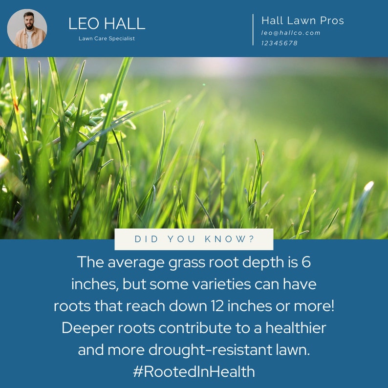 Lawn Care Social Media Posts: Landscaping Instagram Template (canva) - Etsy