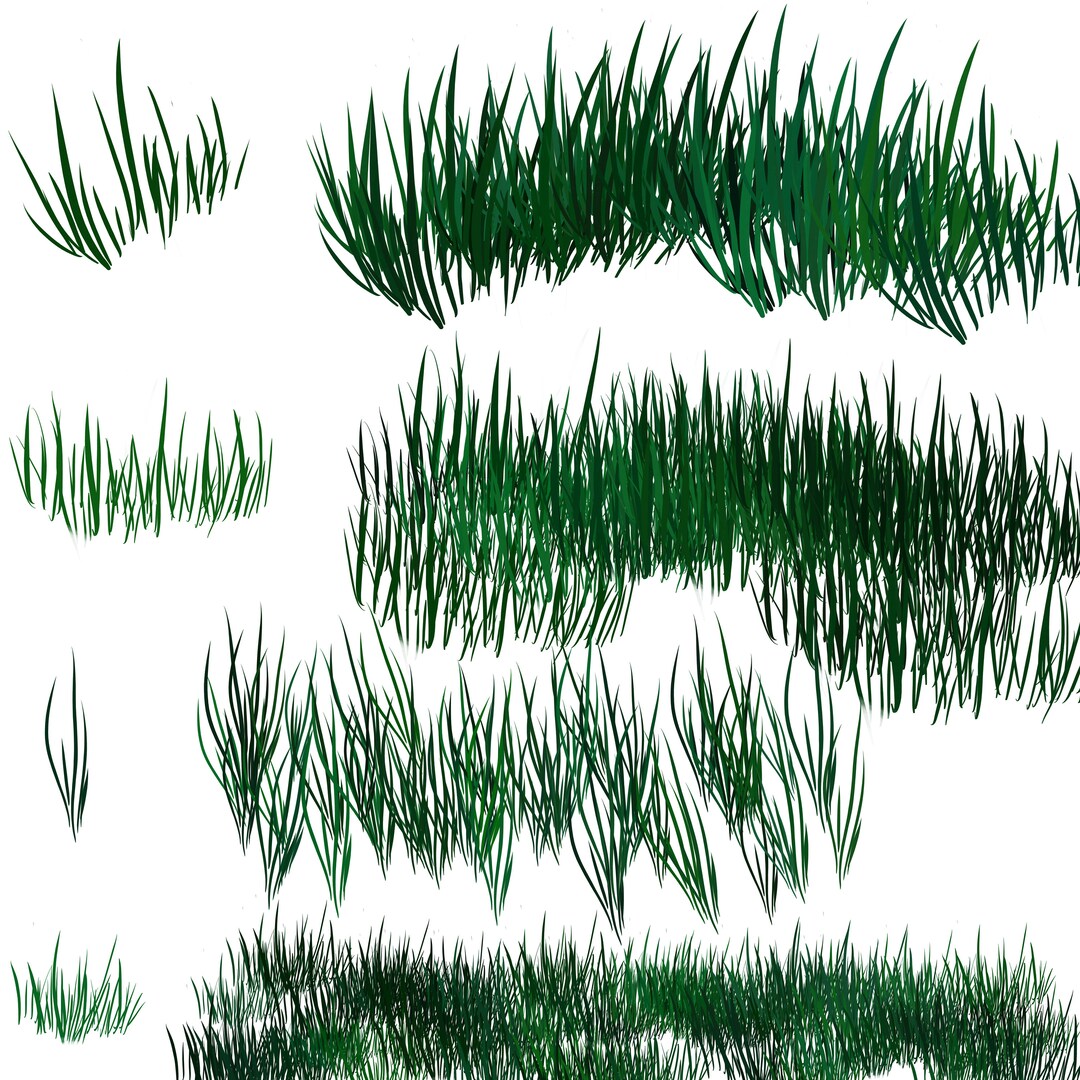 15 Grass Photoshop Procreate Brush for Digital Art Graphic Design and ...