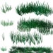 15 Grass Photoshop Procreate Brush for Digital Art Graphic Design and ...