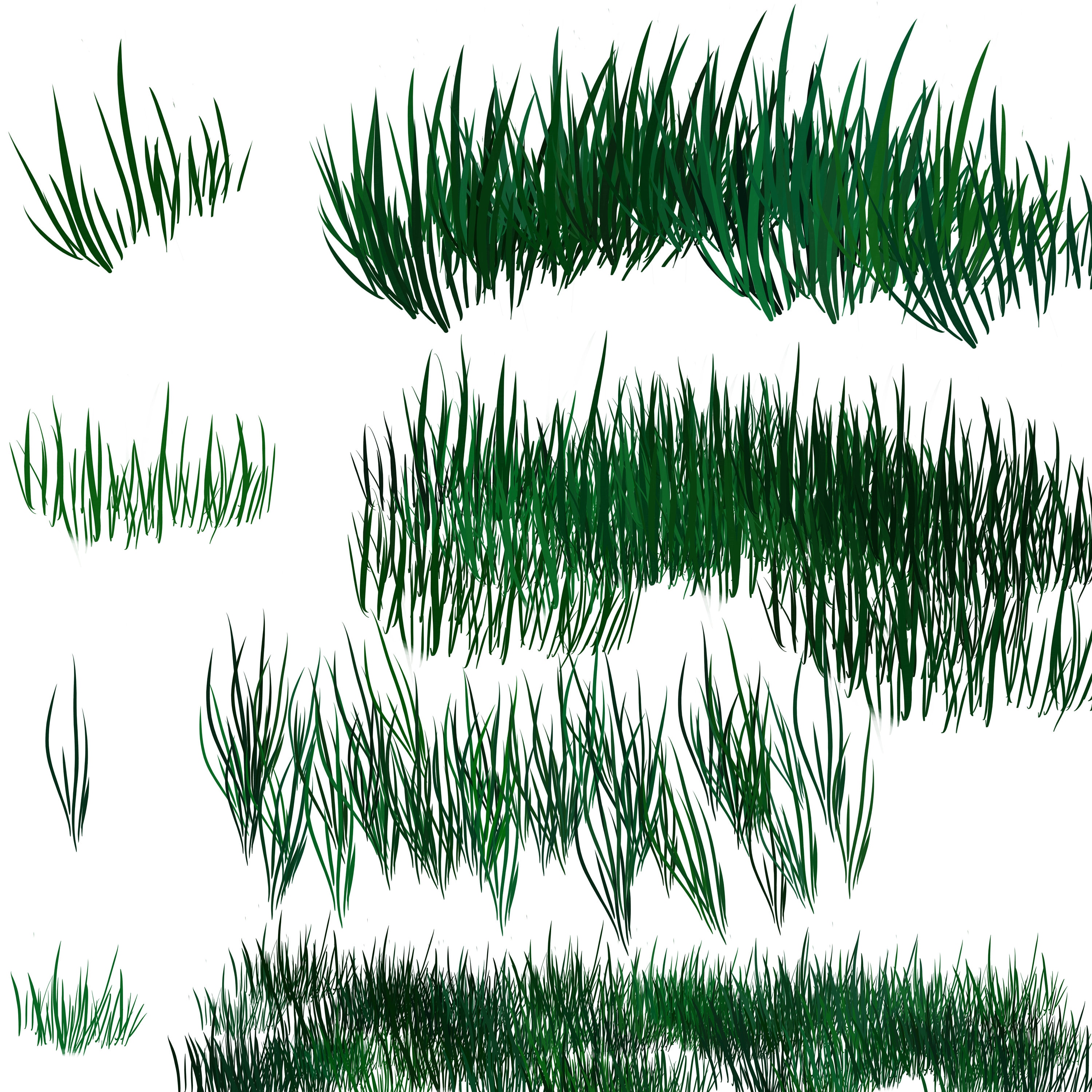 15 Grass Photoshop Procreate Brush for Digital Art Graphic Design and ...