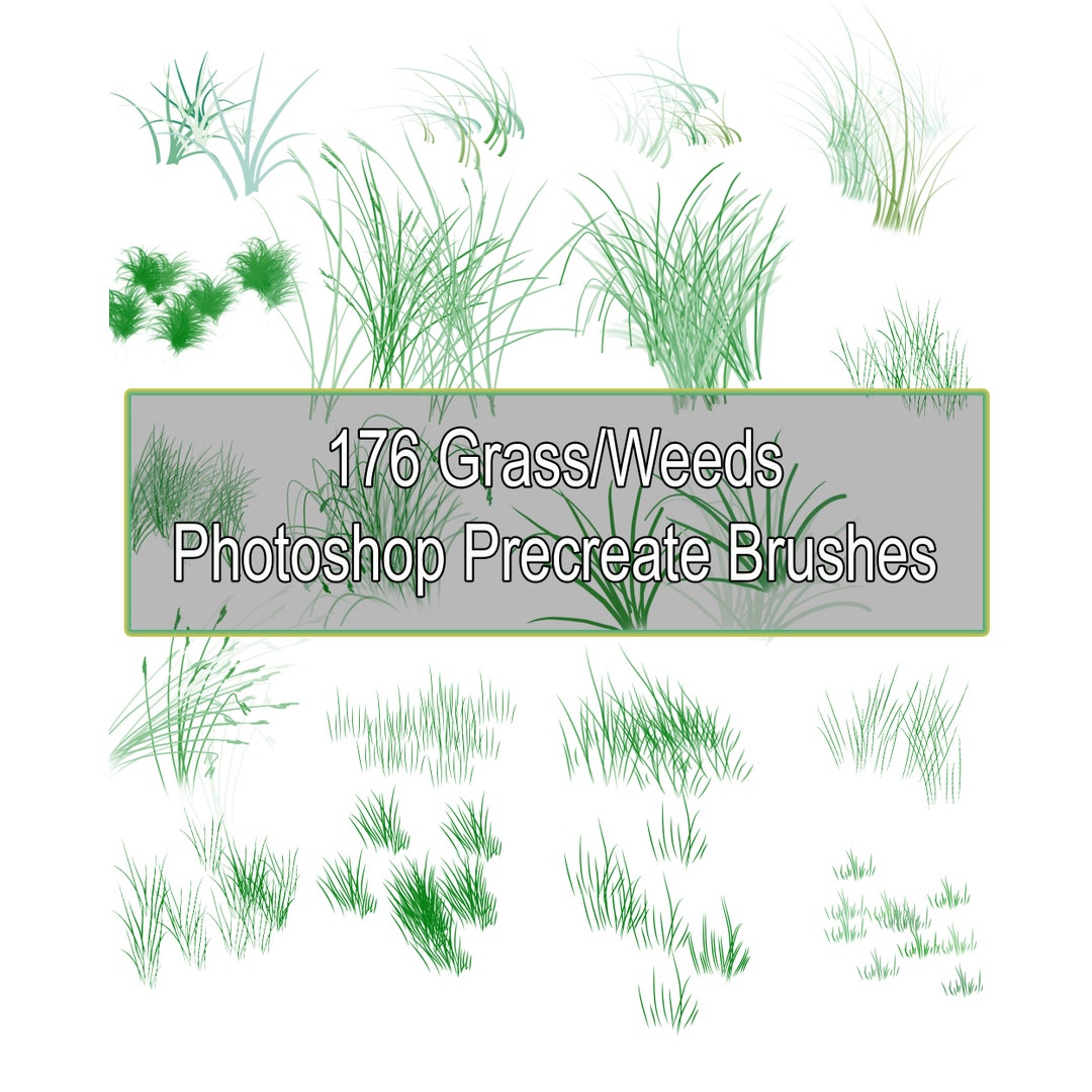 176 Grass Weeds Procreate Brush Photoshop Brush for Digital Art Graphic Design and Photo Editing ...