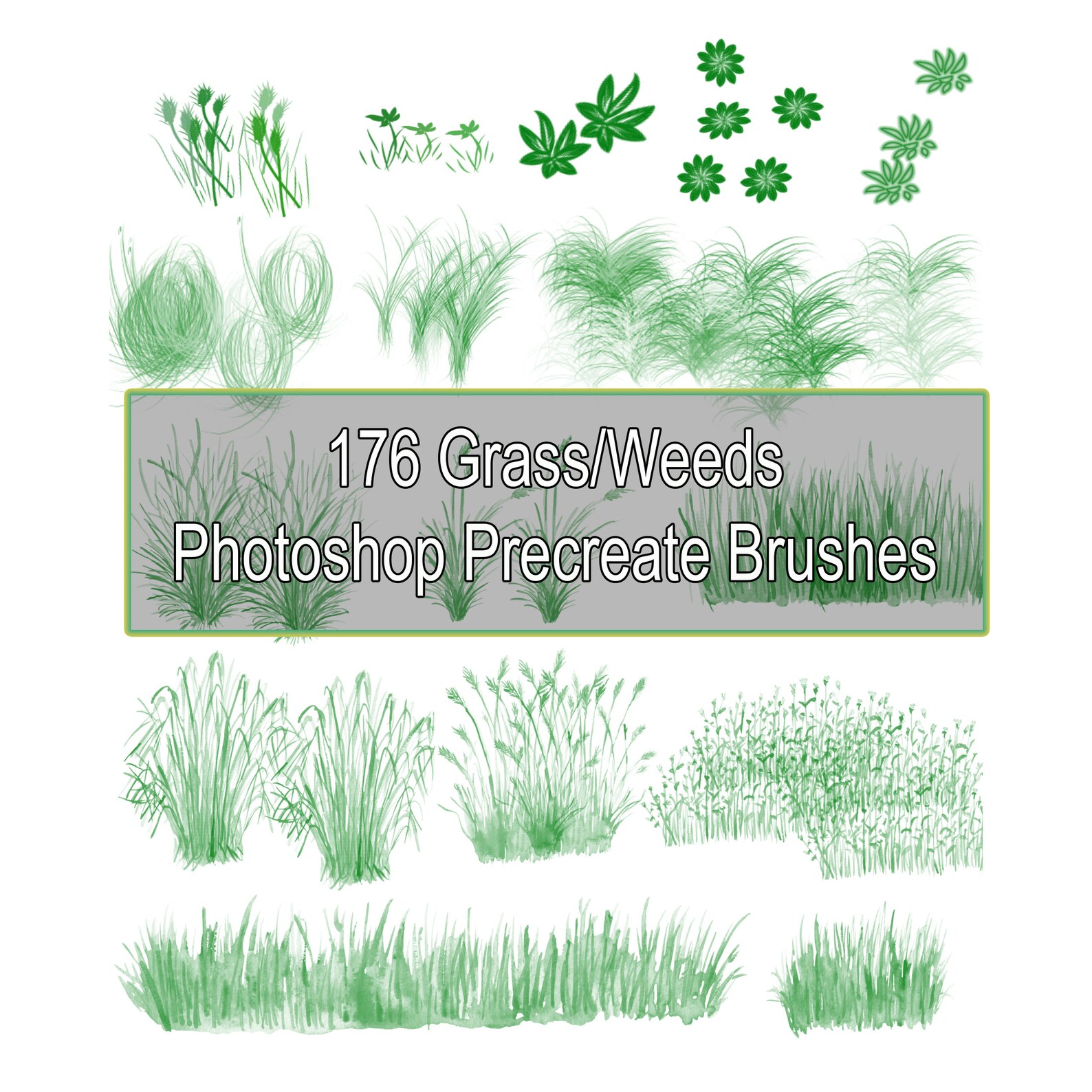 176 Grass Weeds Procreate Brush Photoshop Brush for Digital Art Graphic ...