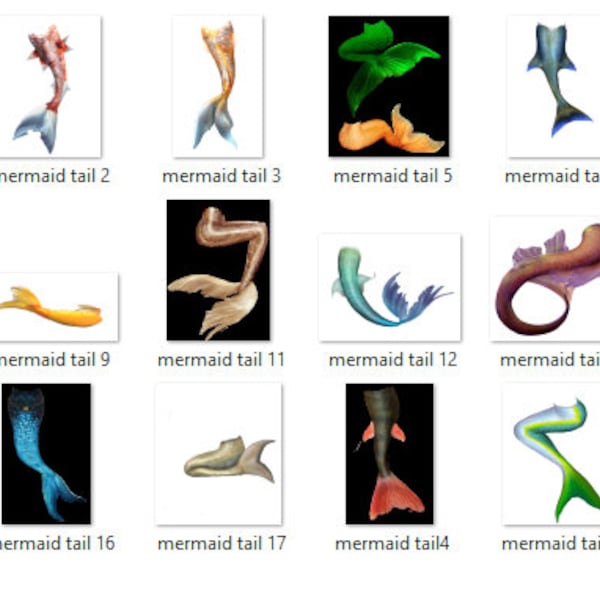 Mermaid Tail Png - Etsy
