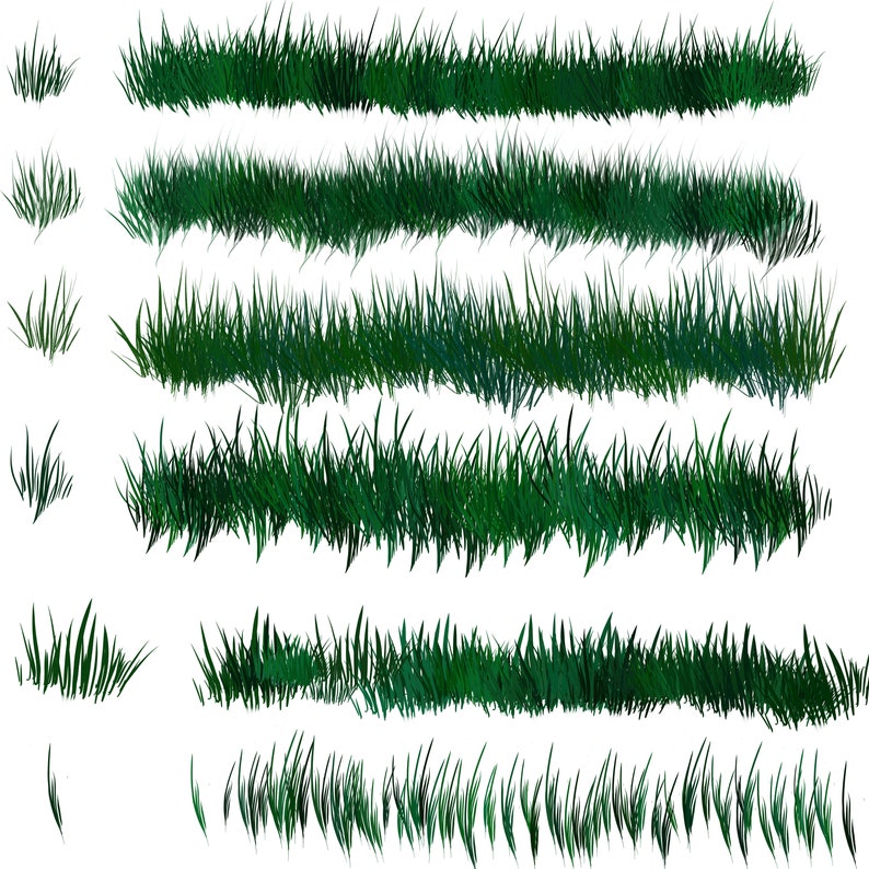 15 Grass Photoshop Procreate Brush for Digital Art Graphic Design and ...
