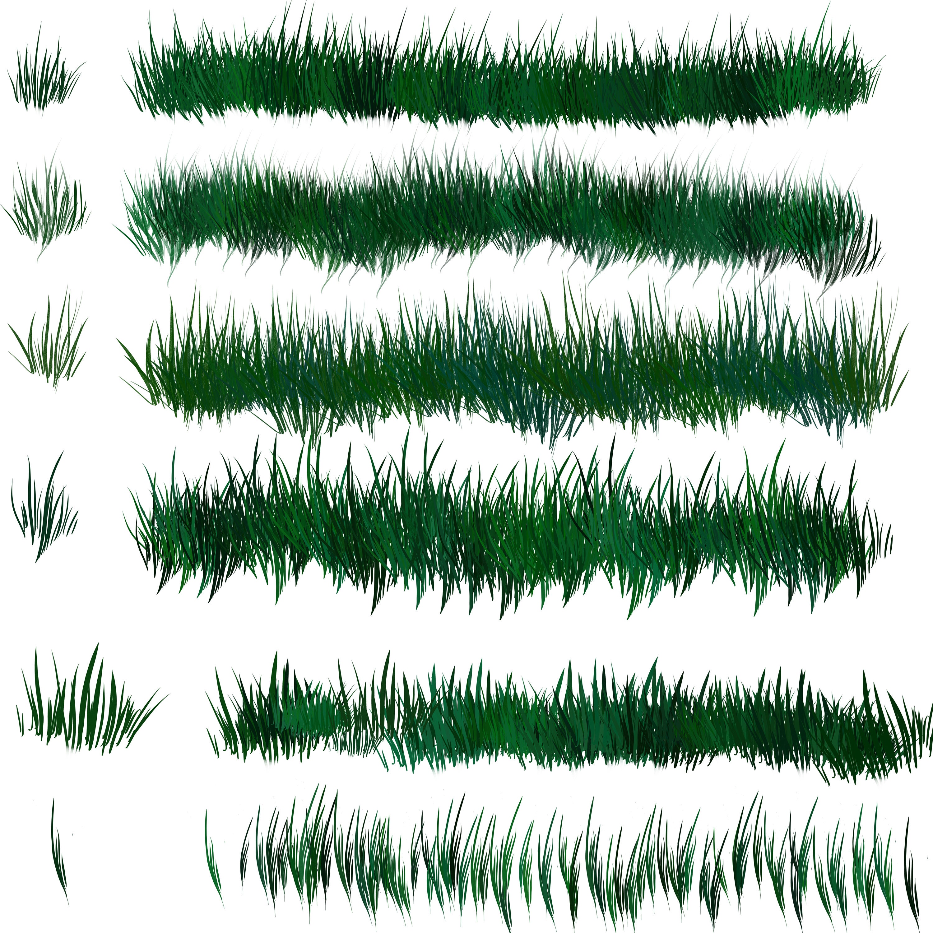 15 Grass Photoshop Procreate Brush for Digital Art Graphic Design and ...