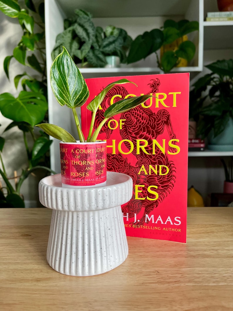 Personalized Favorite Book Planter | Custom Planter - Etsy