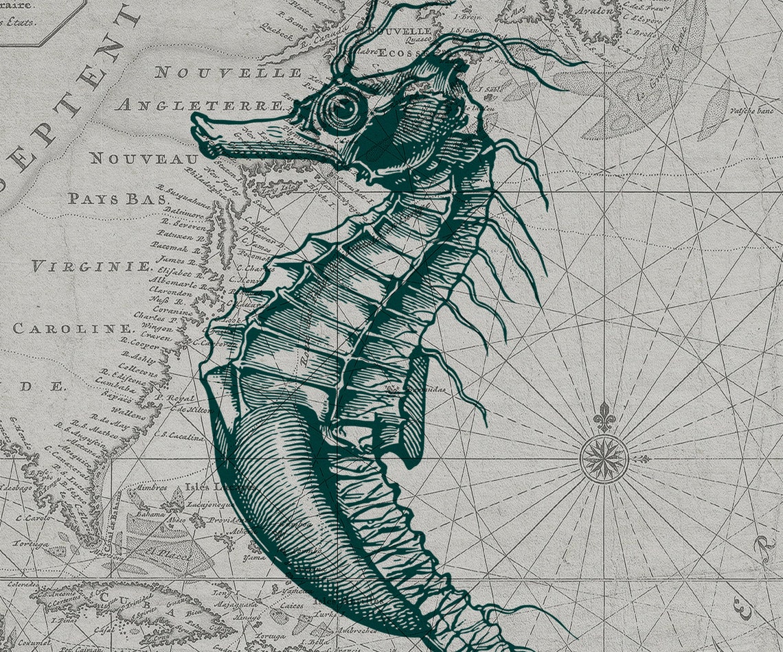 Seahorse on a Map of the North Atlantic Giclee Print | Etsy