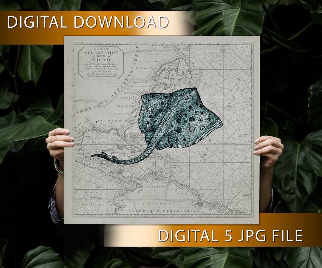 Stingray Map Print Instant Download Stingray Wall Art - Etsy Australia