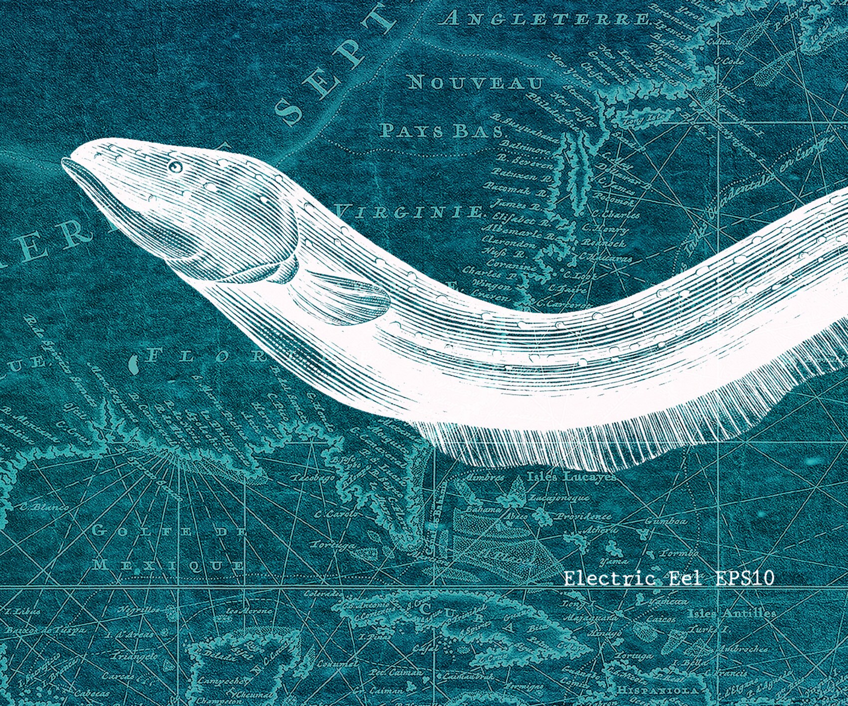 Octopuses & Electric Eel Set of 3 Map Prints Instant | Etsy UK