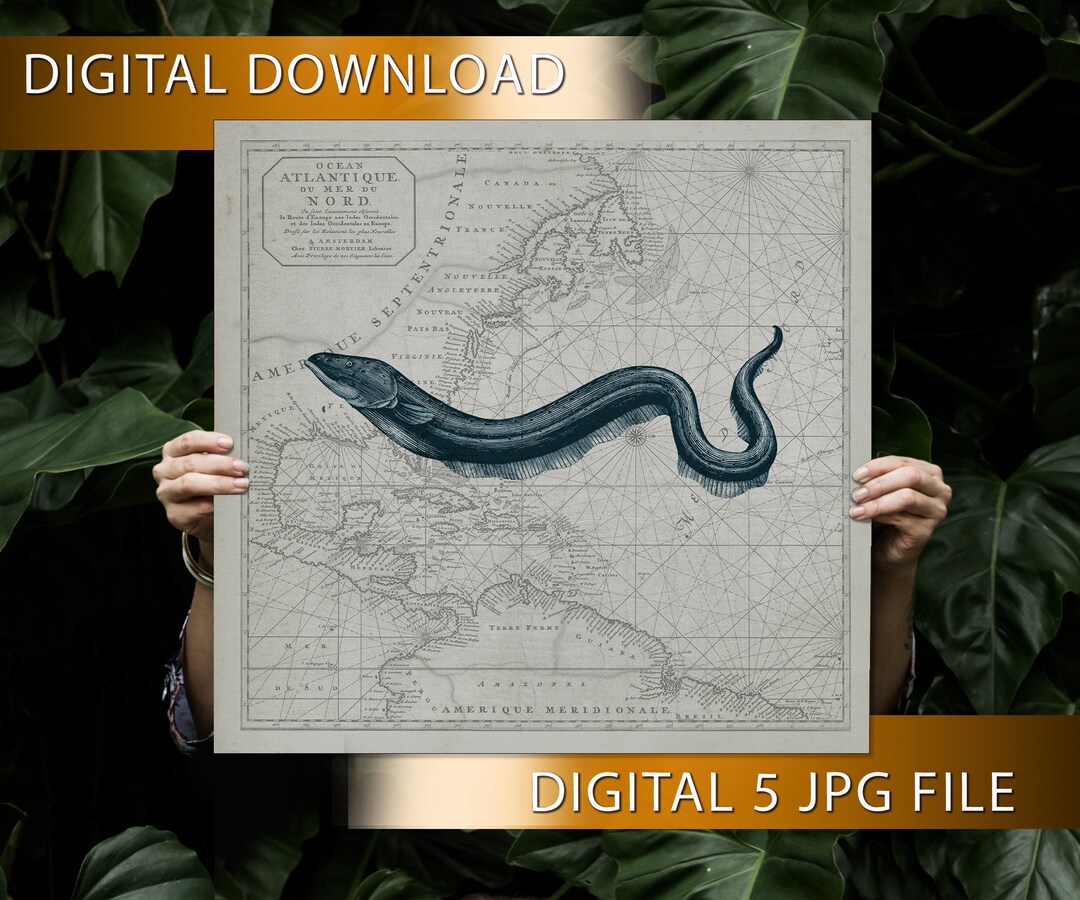 Electric Eel Map Print Instant Download Electric Eel Wall - Etsy